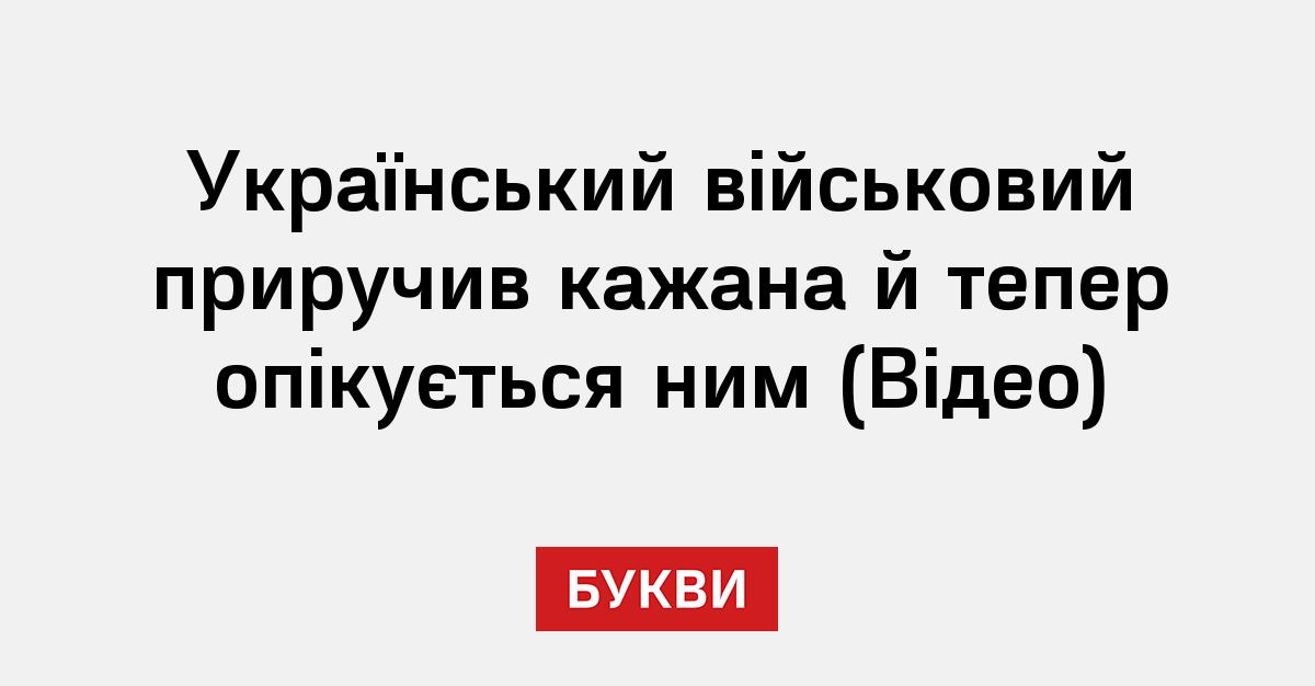 Український військовий приручив кажана й тепер опікується ним (Відео ...
